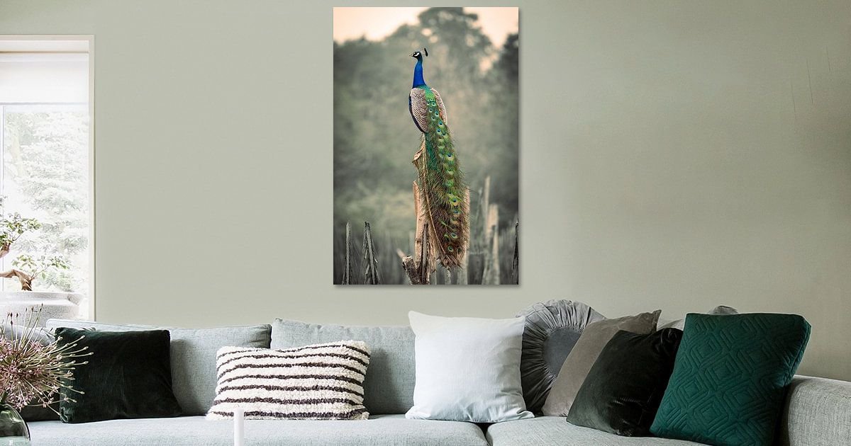 Birds of Paradise Art - Vibrant Prints & Custom-Made | Art Heroes