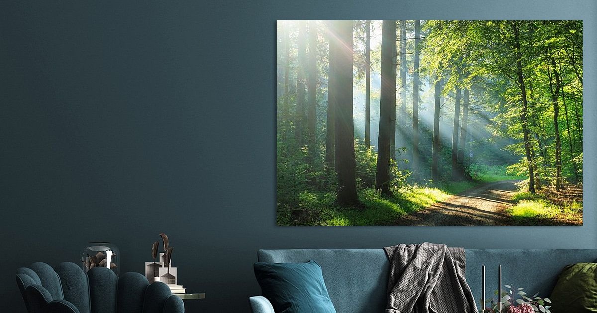 Rold Skov (Denemarken) van Marcel Kerdijk op canvas, behang en meer