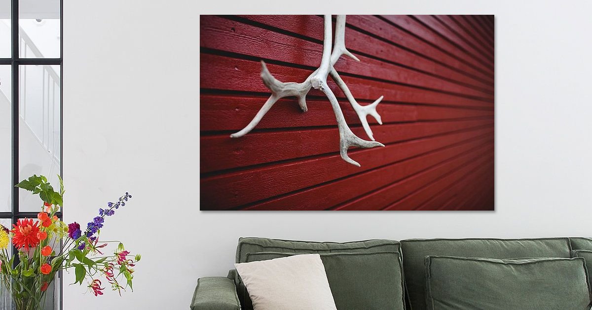 Rendier gewei op een rood houten huis van Martijn Smeets op canvas ...