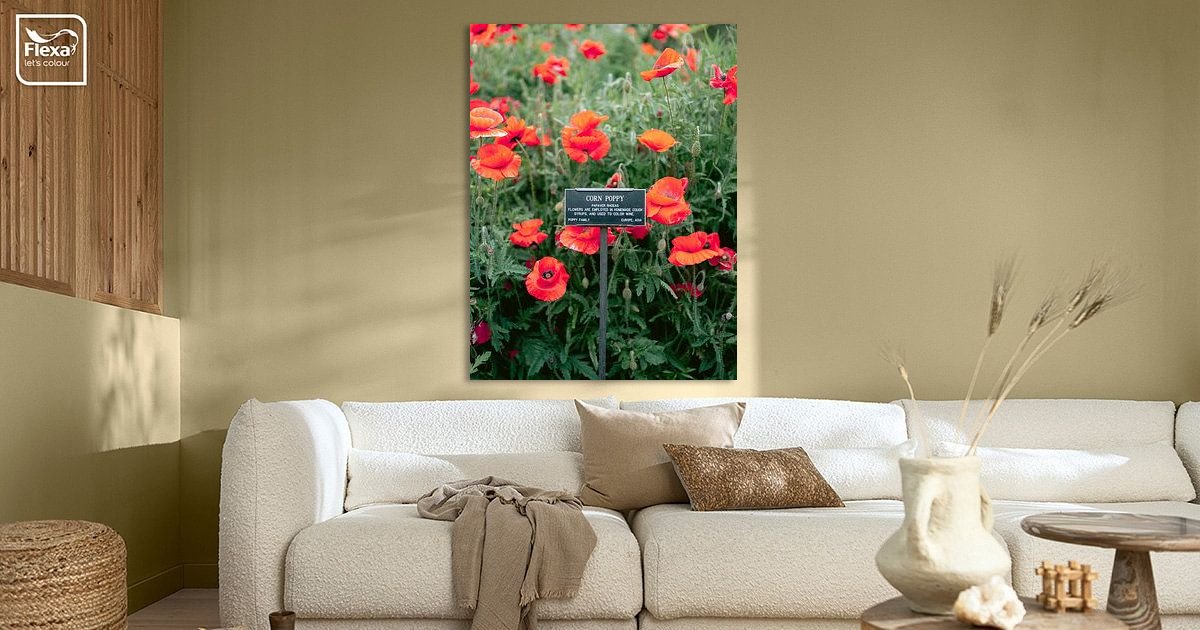 Klaprozen van Raisa Zwart Reisfotografie Prints op canvas, behang en meer