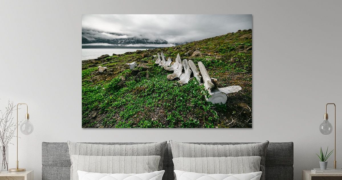 Walvis skelet - Disko Island, Groenland van Martijn Smeets op canvas ...