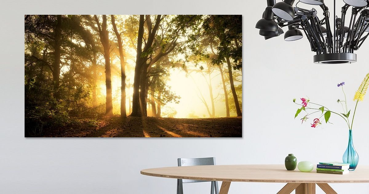 Blinding light van Lex Schulte op canvas, behang en meer
