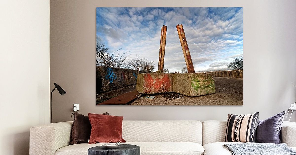 Twin Guards van Peter Bongers op canvas, behang en meer