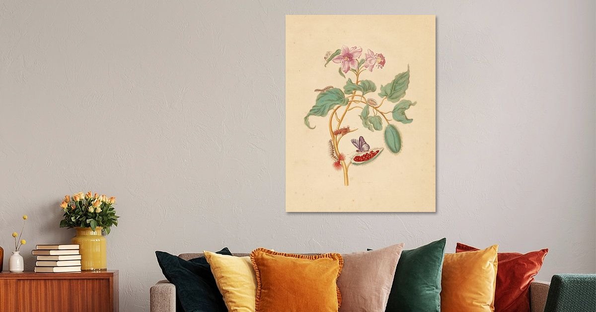 De rozenboom met rupsen, motten en vlinders, Maria Sibylla Merian op ...