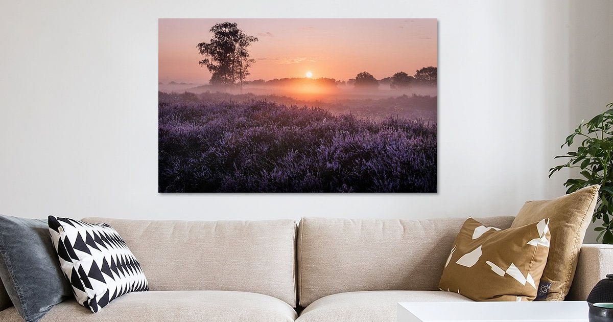 Bloeiende paarse heide op een mistig Balloërveld van Robin Giesen op ...
