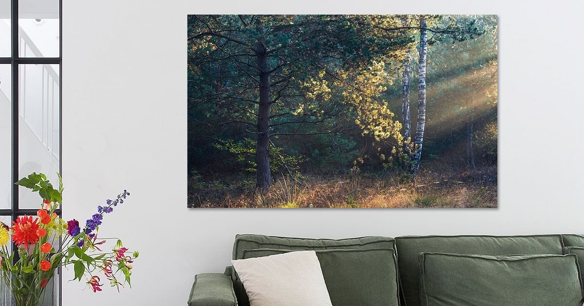 Sunbeams in the forest at Planken Wambuis by Sander Grefte on canvas ...