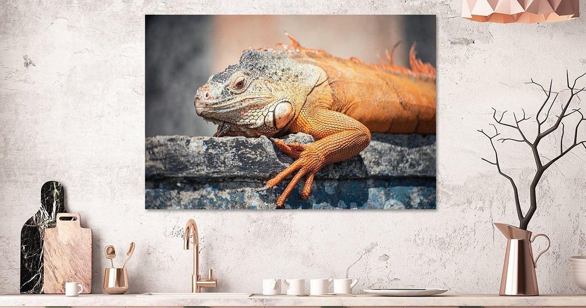 Orange monitor lizard in Balinese temple by Perry Wiertz on canvas ...