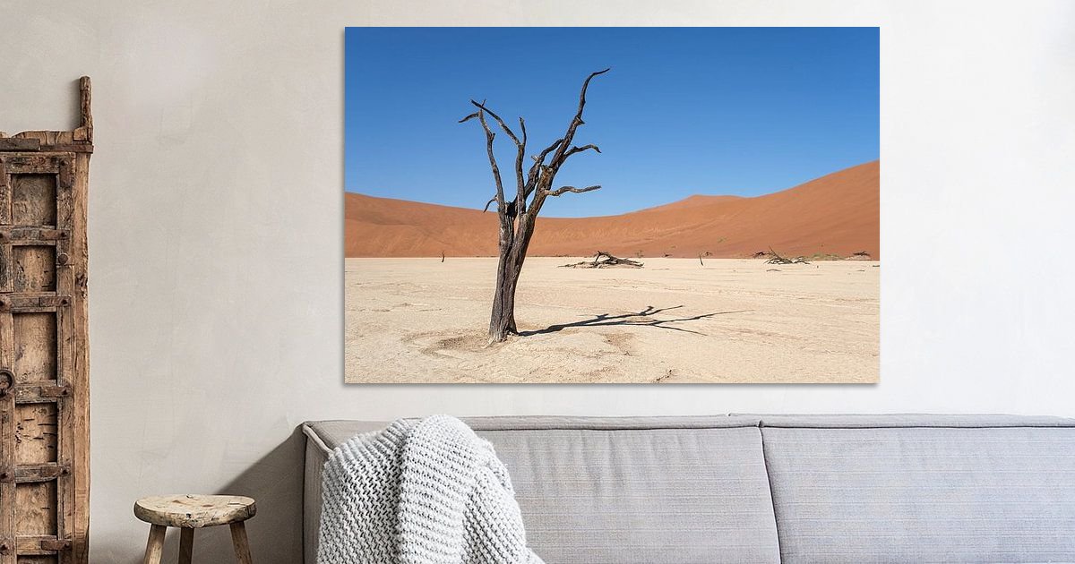 Deadvlei, skeletons of trees in desolate dune landscape by Nicolas ...