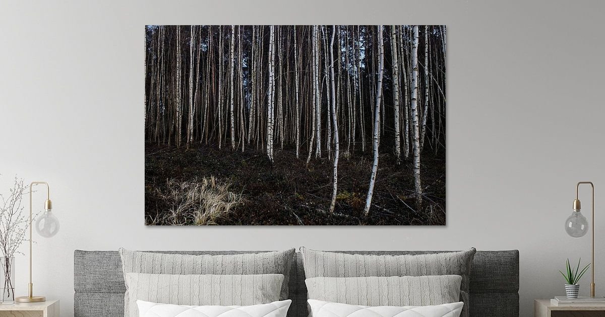 Berken chaos van Matthias Ettinger op canvas, behang en meer