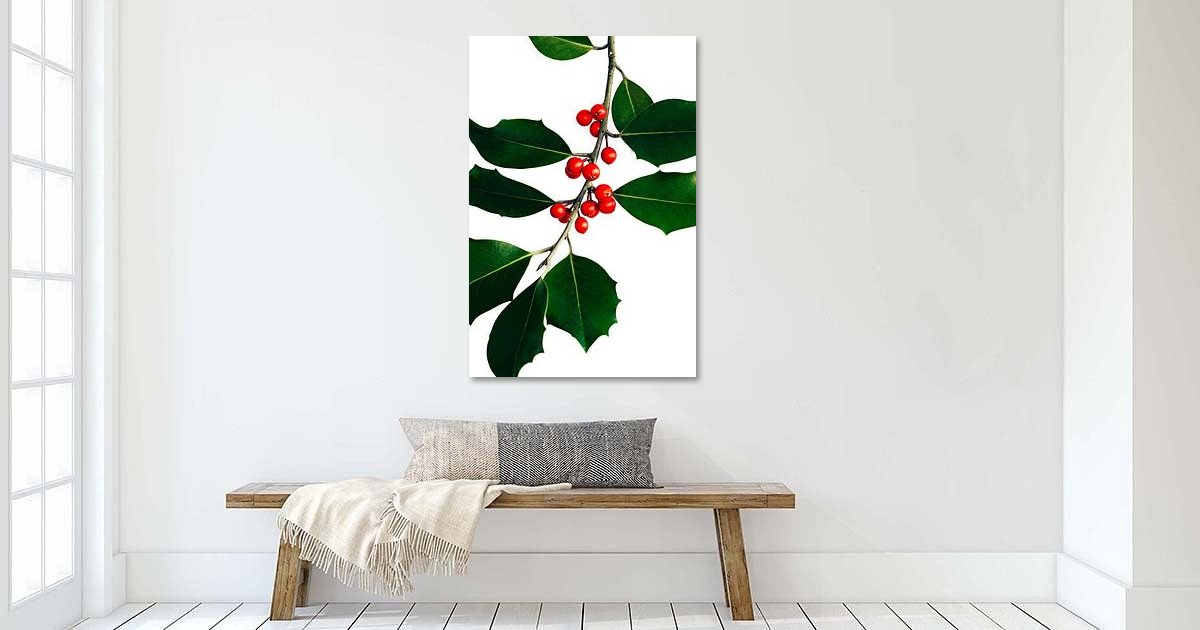 Klassieke kerst hulst met rode bessen | Natuur fotografie van Denise ...