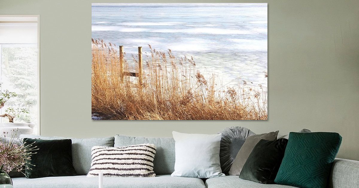 Riet rietpluimen Markermeer van Inge Hogenbijl op canvas, behang en meer