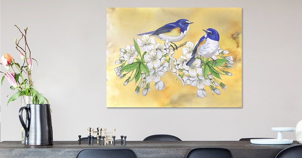 Japanse Bluebird op zoete kers van Jasper de Ruiter op canvas, behang ...
