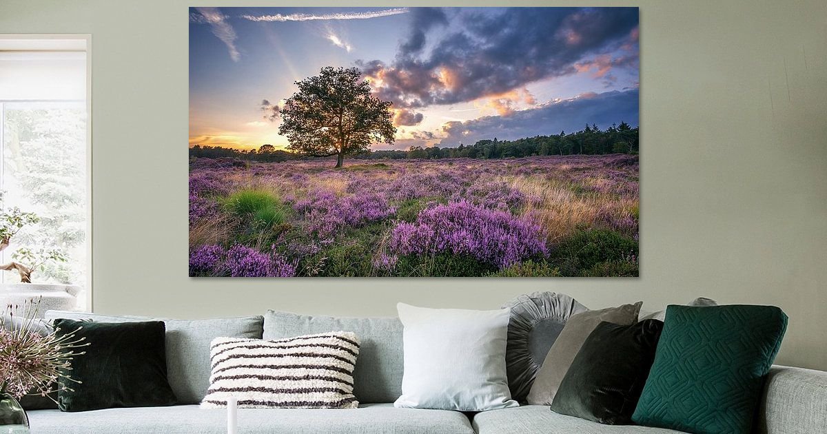 Paarse kunst op canvas, behang en meer - Werk aan de Muur