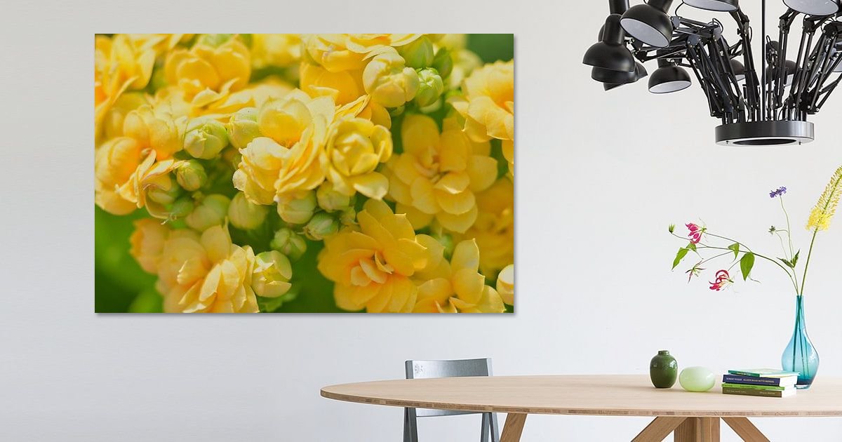 Baby shower van gele begonia's van Jolanda de Jong-Jansen op canvas ...