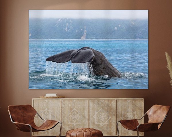 Prints uit de collectie van Marnix van der Prijt