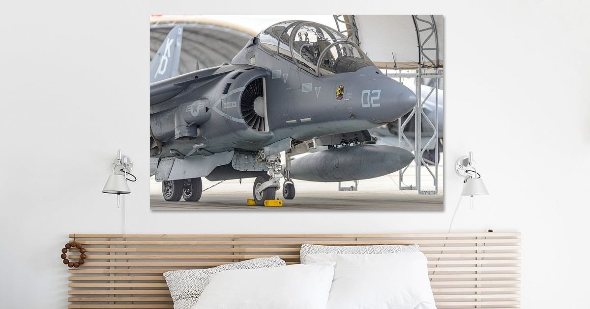 McDonnell Douglas TAV-8B Harrier. by Jaap van den Berg on canvas ...