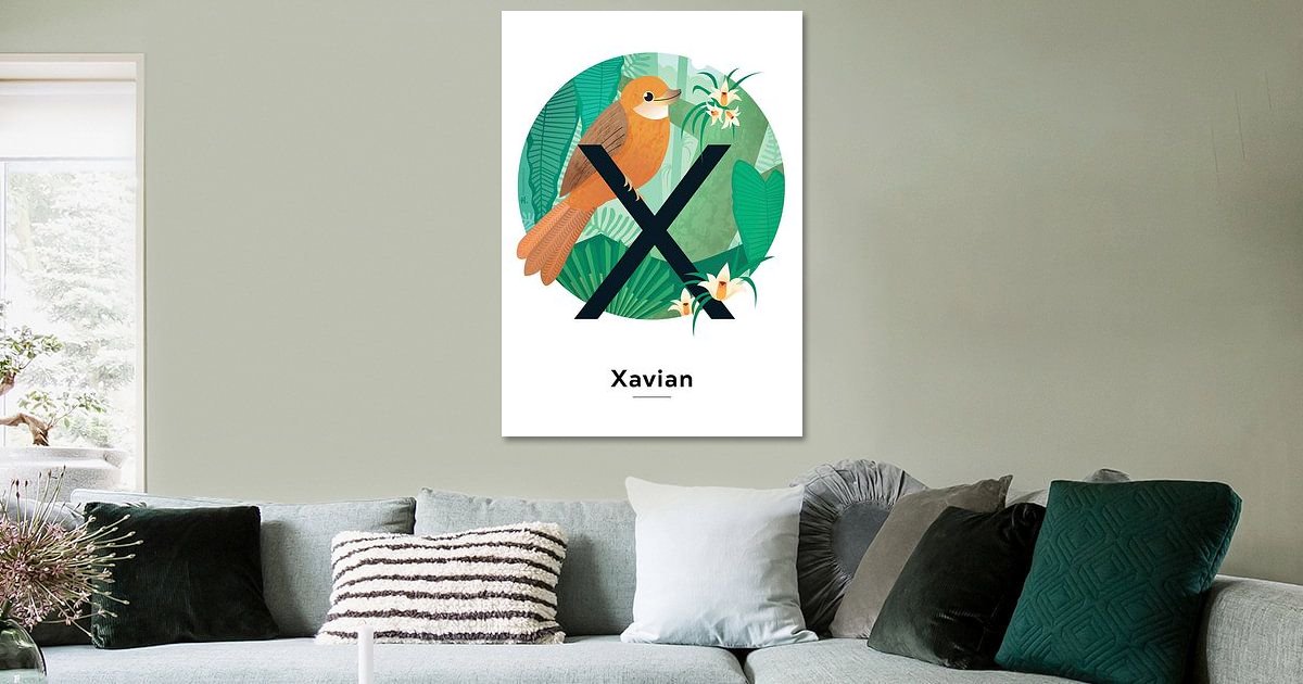 Naamposter Xavian van Hannah Barrow op canvas, behang en meer