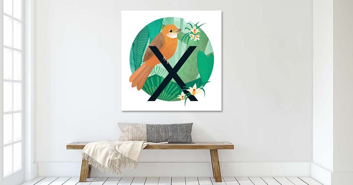 De Xenops en xylobium van Hannah Barrow op canvas, behang en meer
