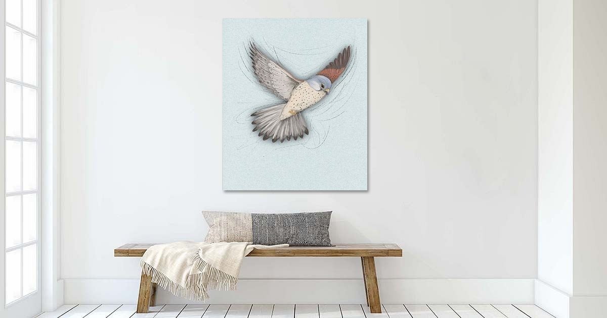 Vliegende torenvalk digitale tekening van Bianca Wisseloo op canvas ...