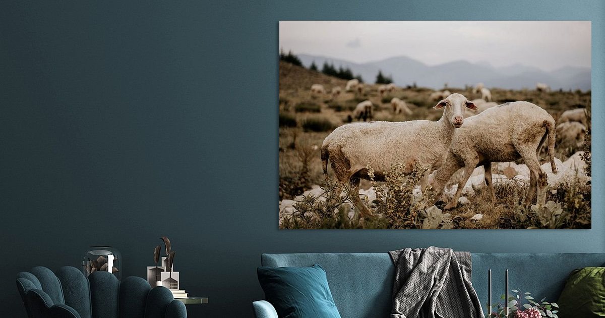 Schapen in het Turkse berglandschap van Christa Stories op canvas ...