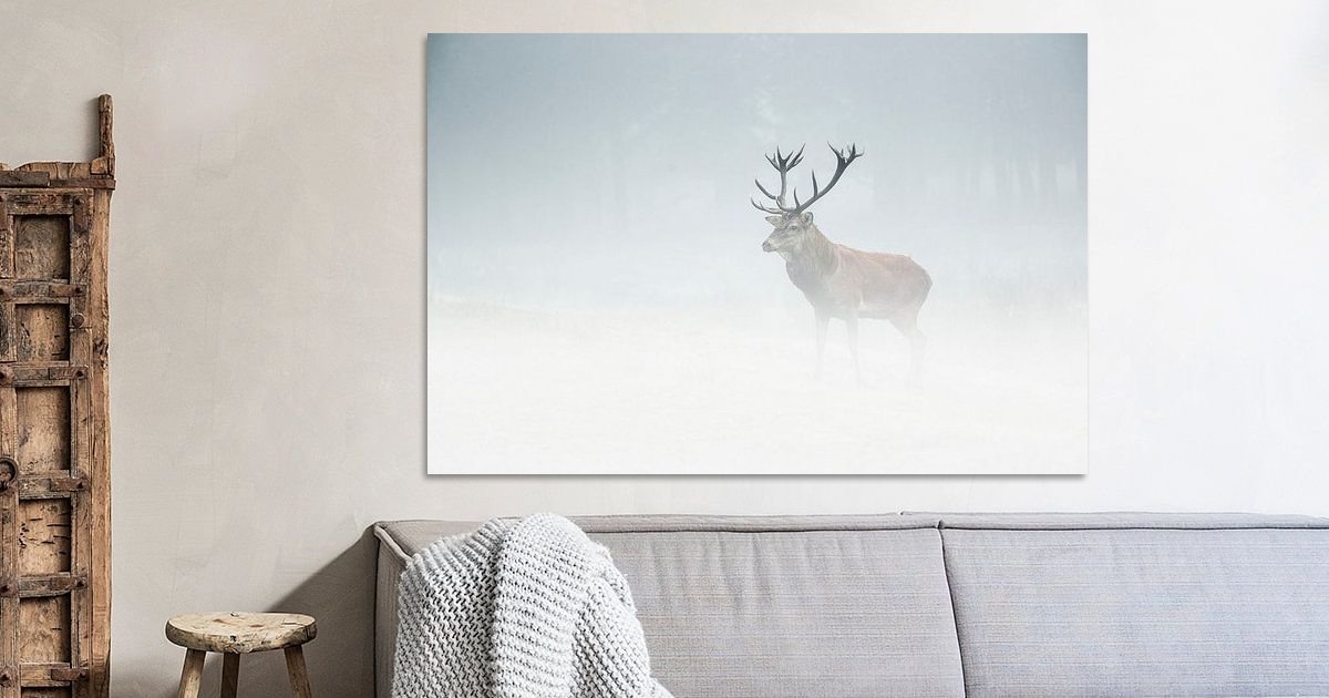 edelhert in de mist van jowan iven op canvas, behang en meer