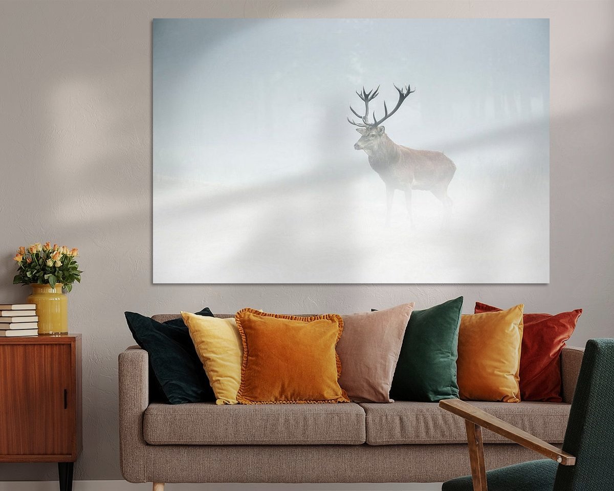 edelhert in de mist van jowan iven op canvas, behang en meer