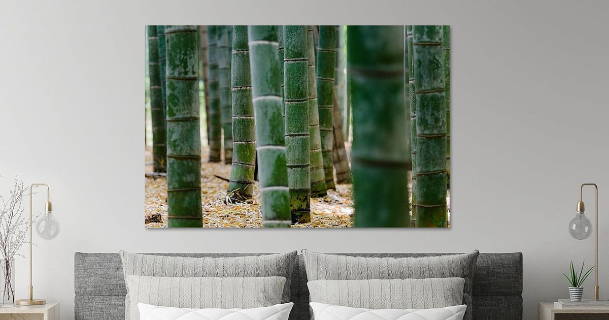 Bamboebos in Kyoto, Japan van Michael Bollen op canvas, behang en meer