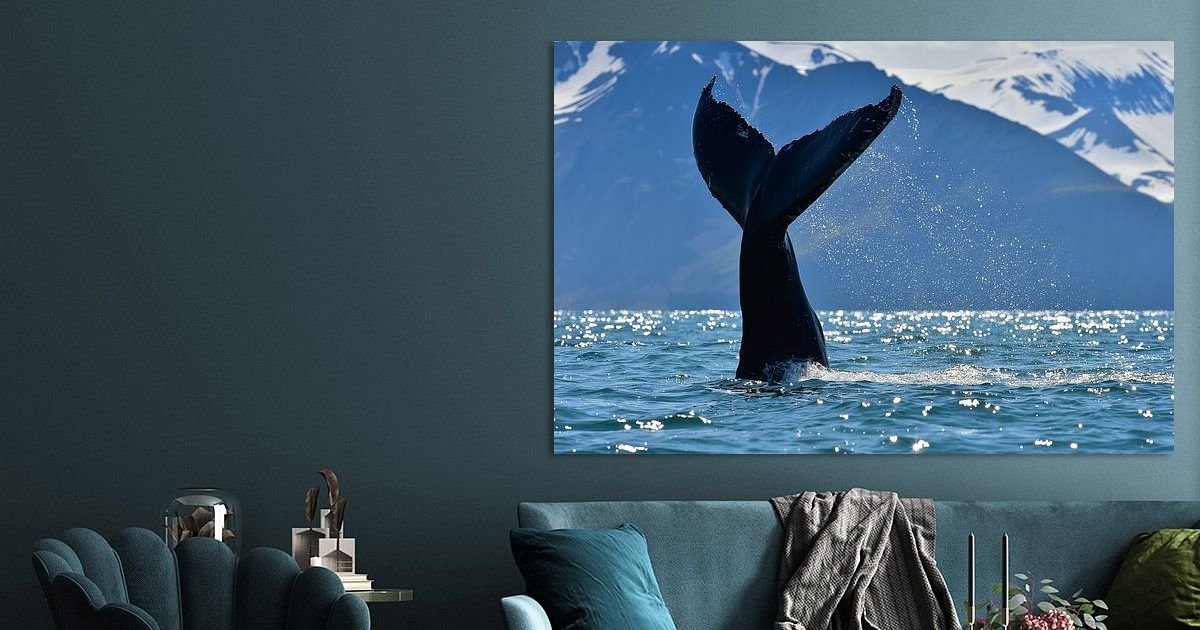 Bultrug walvis die z'n staart op het water slaat. van Koen Hoekemeijer ...