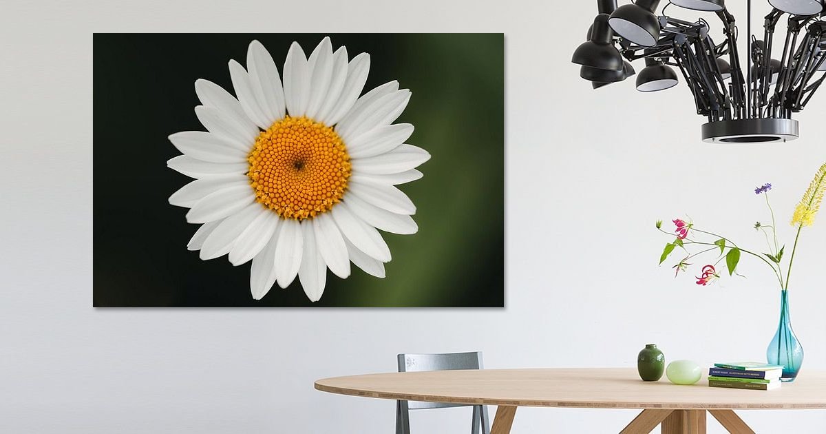 Margriet als een zonnetje van Marika Huisman fotografie op canvas ...