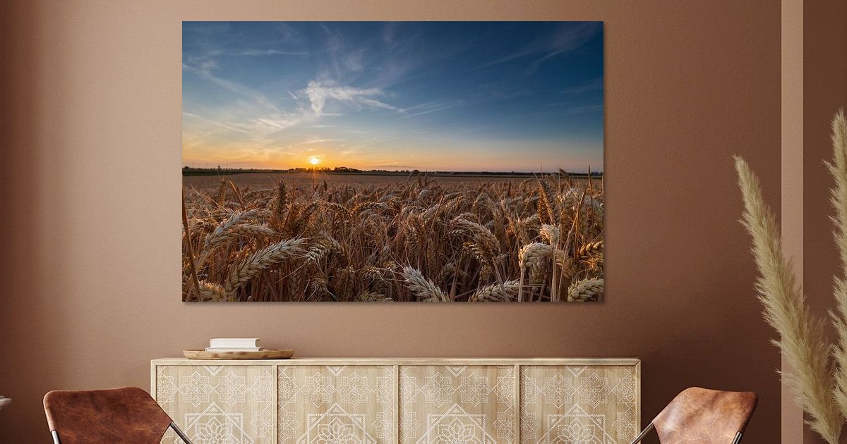 Graanveld tijdens het gouden uur van Kim Willems op canvas, behang en meer