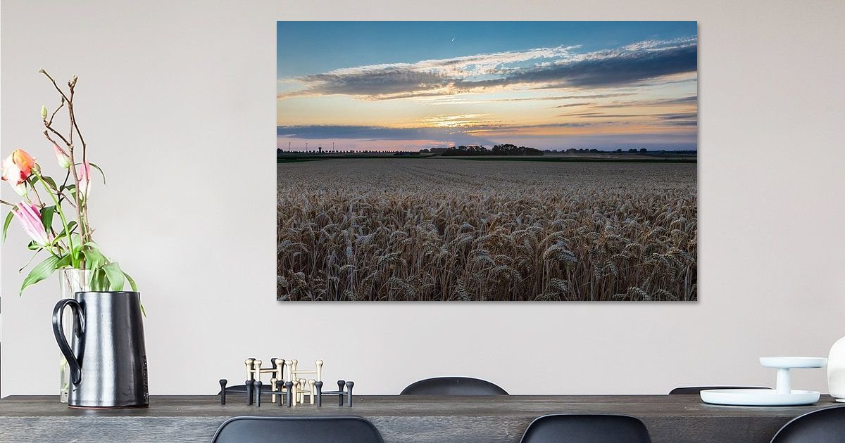 Graanveld tijdens het gouden uur van Kim Willems op canvas, behang en meer