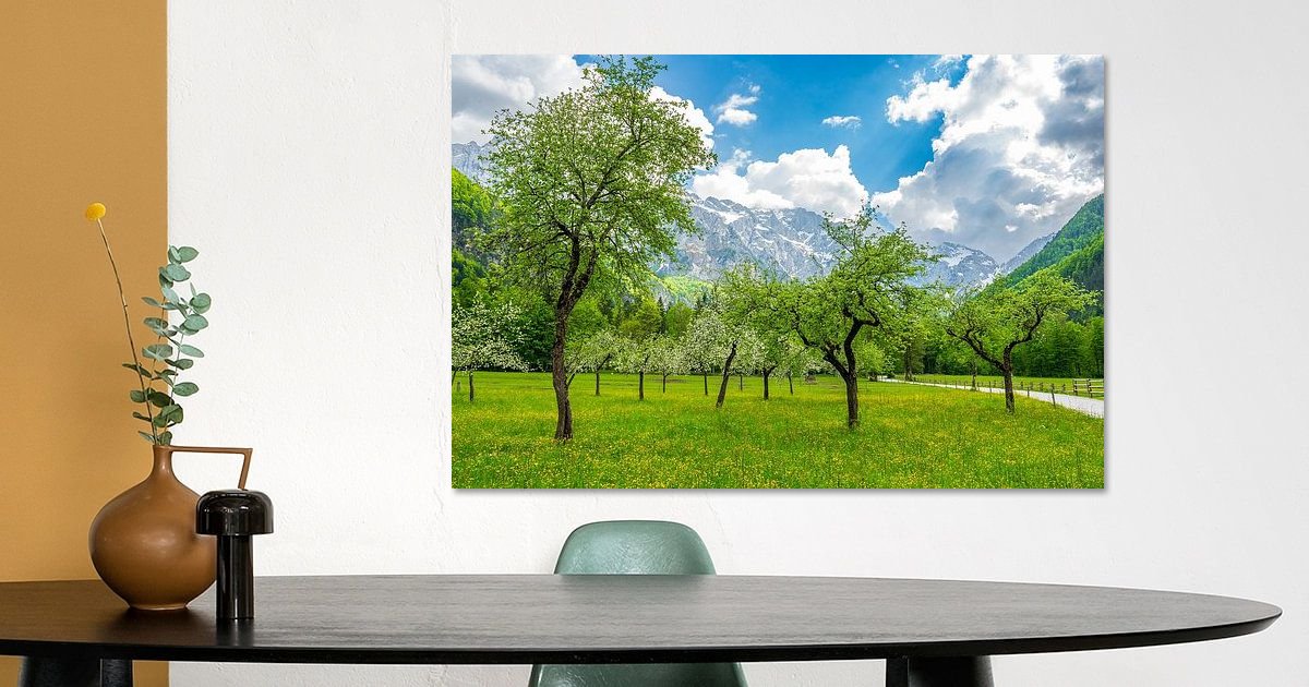 Boomgaard met fruitbomen in de lente in de Alpen van Sjoerd van der Wal ...