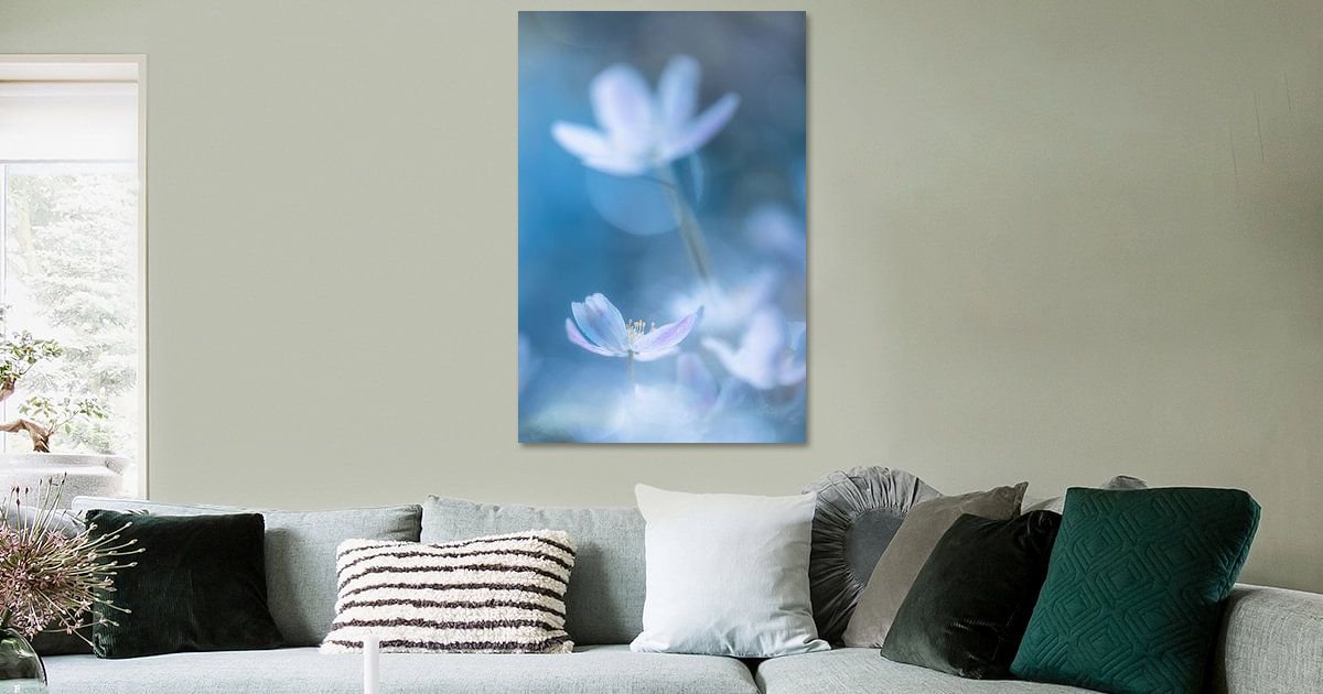 Koel en zacht van Monique van Genderen (in2pictures.nl fotografie) op ...