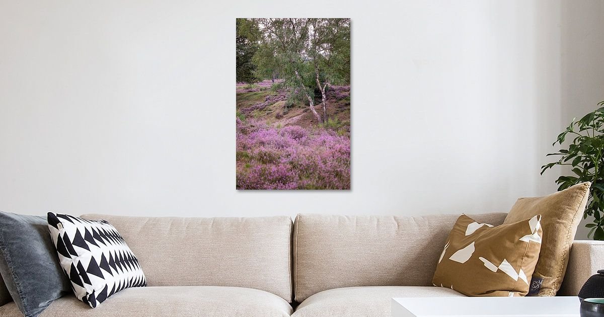 Berken op de heidevelden van Alie Ekkelenkamp op canvas, behang en meer