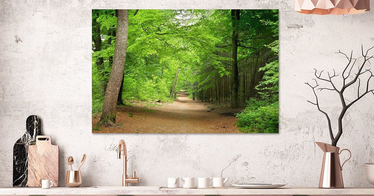 Beuken op de Veluwezoom van Corinne Welp op canvas, behang en meer