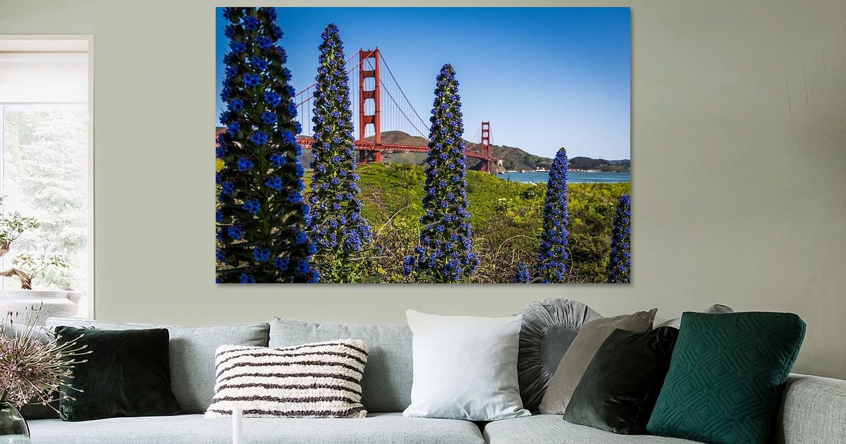 Golden Gate Bridge met prachtige paarse bloemen van Jan Hermsen op ...