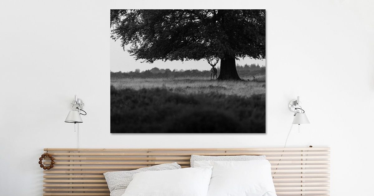 Edelhert zwartwit van Roy Kreeftenberg op canvas, behang en meer