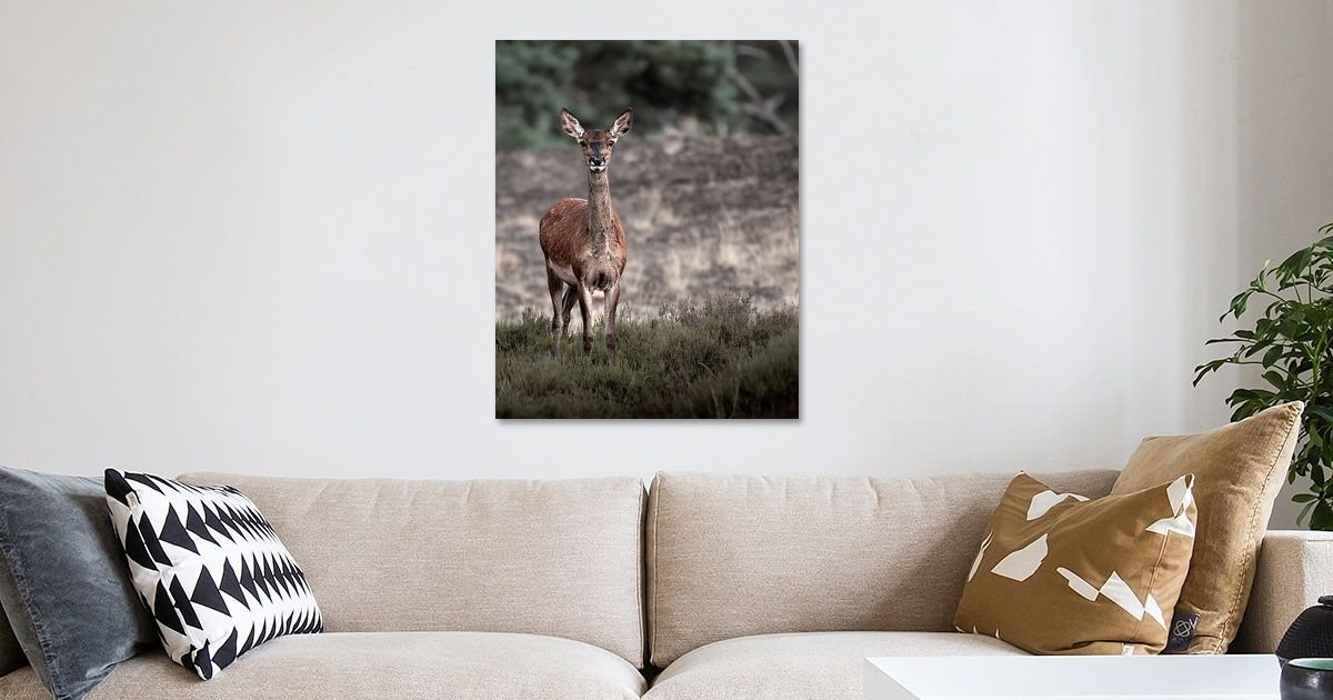 Portret van hinde van Roy Kreeftenberg op canvas, behang en meer