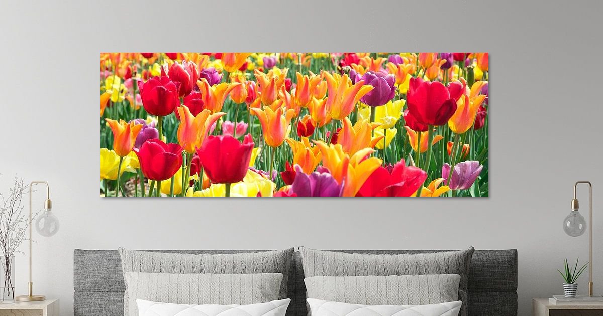 Tulpen van frans bouwmeester op canvas, behang en meer