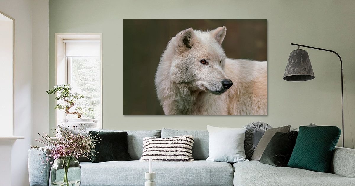 Kopportret van een witte poolwolf (Canis lupus arctos) in het bos van ...