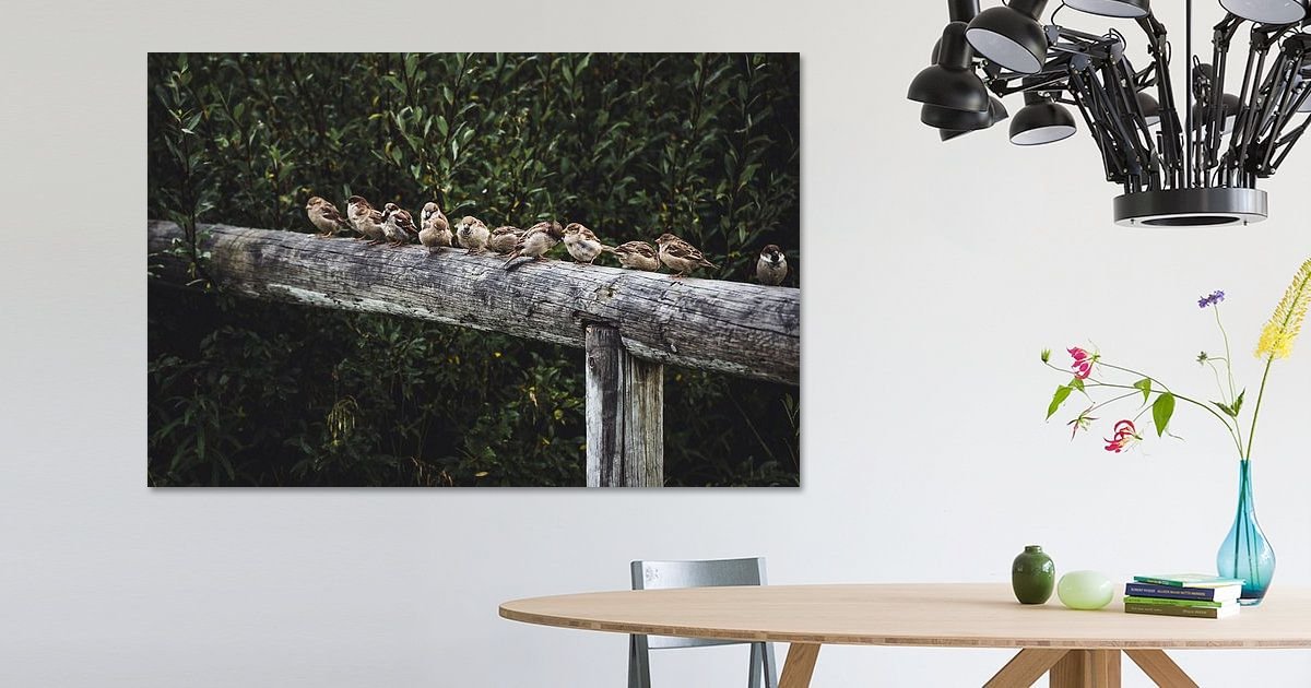 Musjes op een hek in Zweeds Lapland van Merlijn Arina Photography op ...