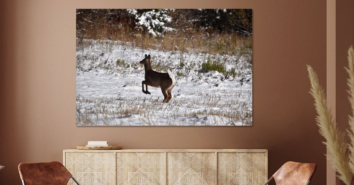 Een jong hert in een gebied van Claude Laprise op canvas, behang en meer