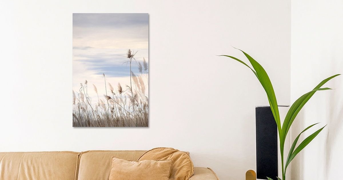 Wuivend riet in de Ebro Delta van Truus Nijland op canvas, behang en meer