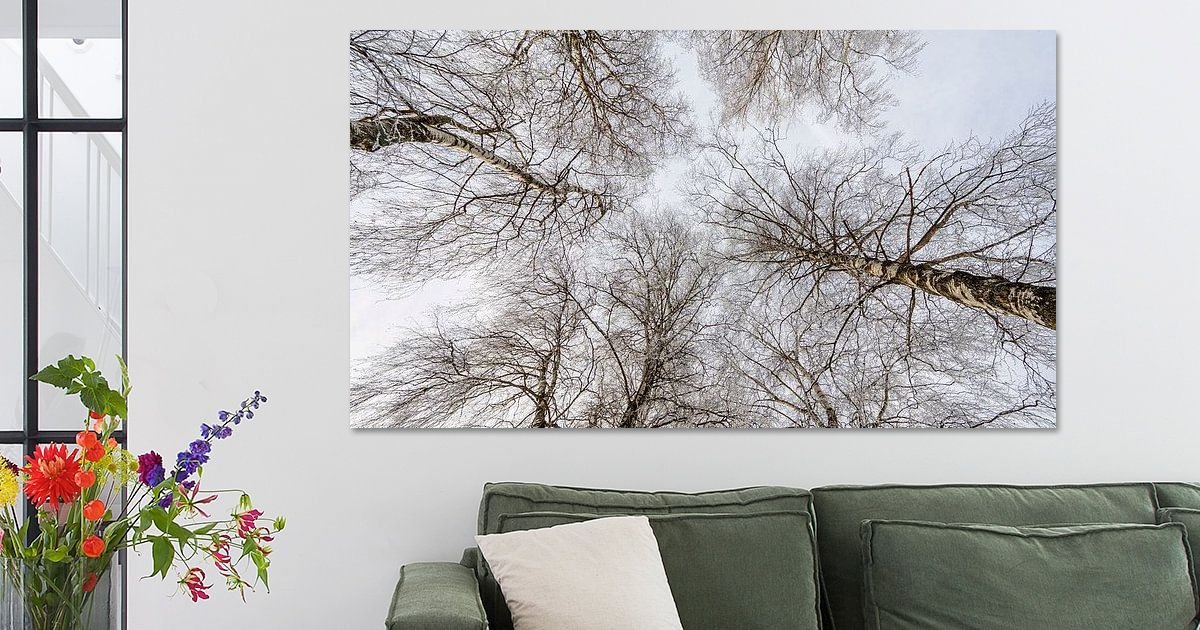 Treetops van Christa Kramer op canvas, behang en meer