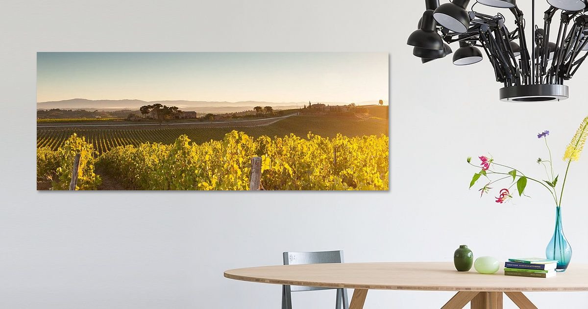 Wijnranken in de Toscaanse heuvels - panorama van Damien Franscoise op ...