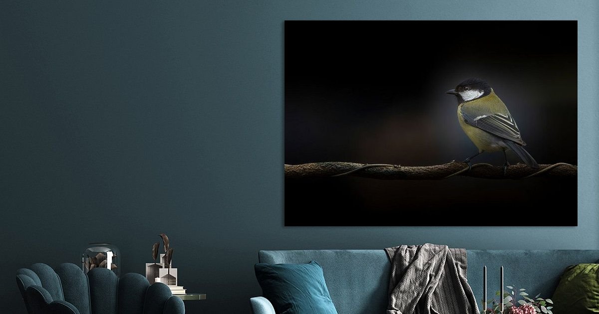 Koolmees van arnemoonsfotografie op canvas, behang en meer