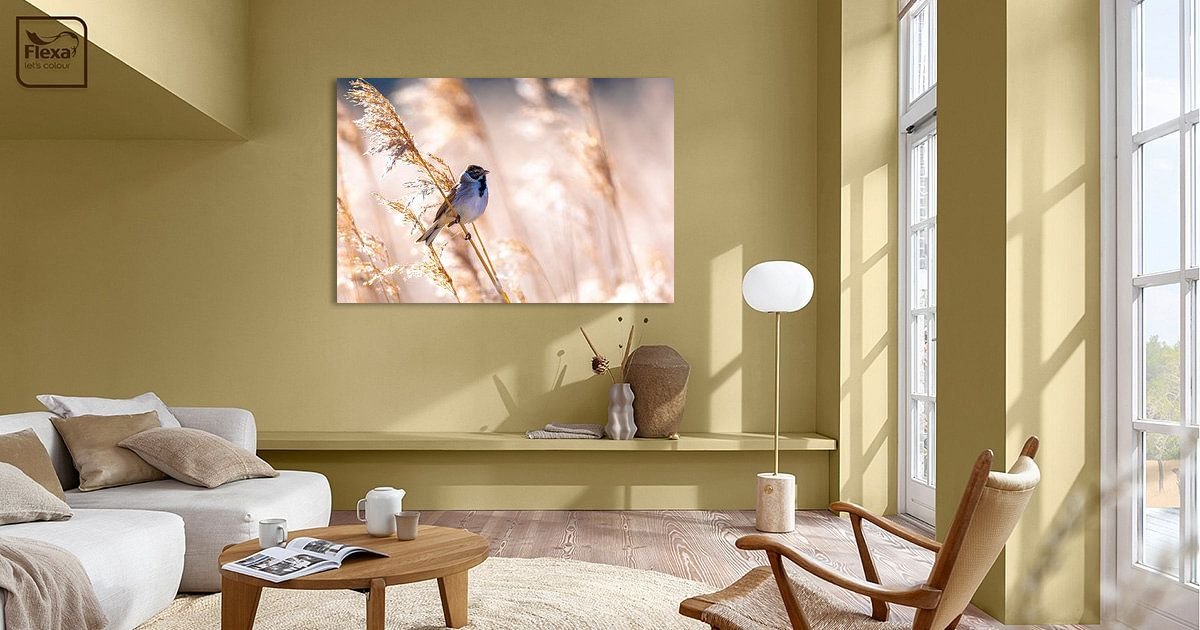 Zingend in het riet van Sander Meertins op canvas, behang en meer