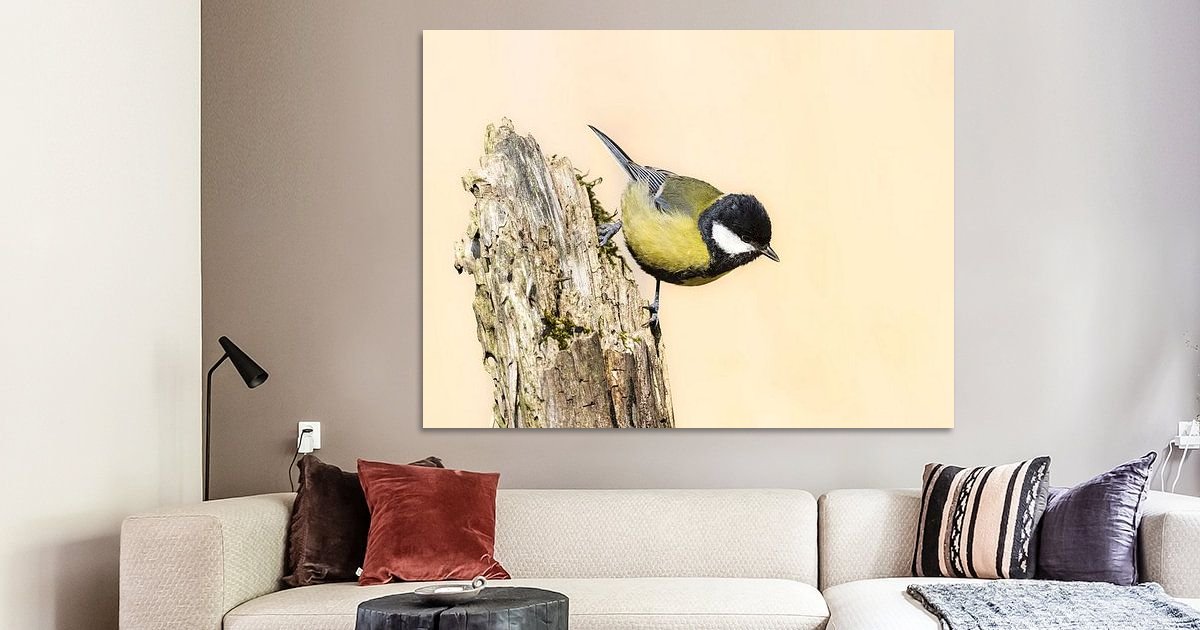 koolmees met riet als achtergrond van Rickinhetdierenrijk op canvas ...