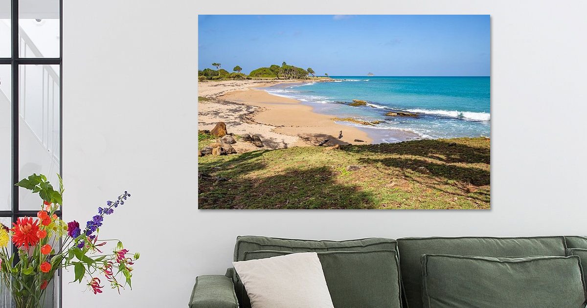 Zandstrand aan de Caribische Zee, Pointe Allègre, Sainte Rose ...