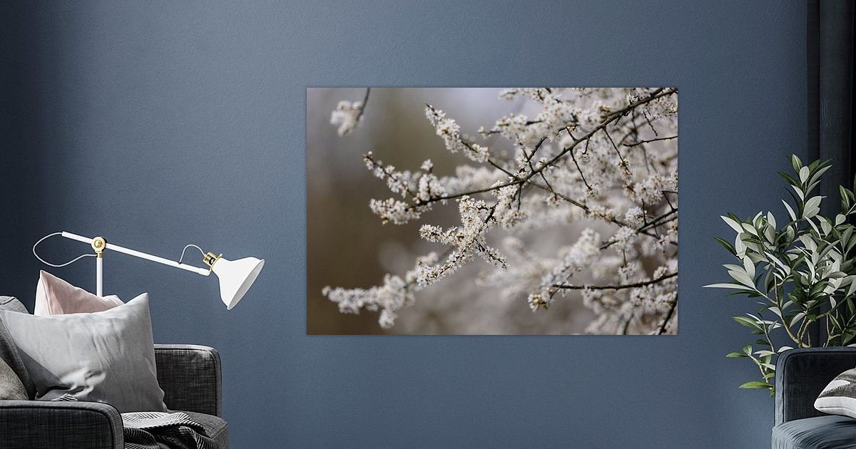 Witte bloesem van de sleedoorn van Janny Beimers op canvas, behang en meer